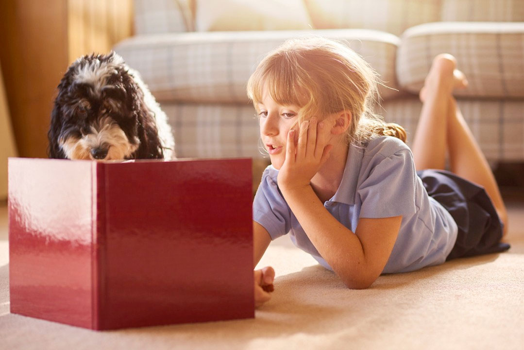 Repeated Reading: A high impact strategy for improving reading fluency ...